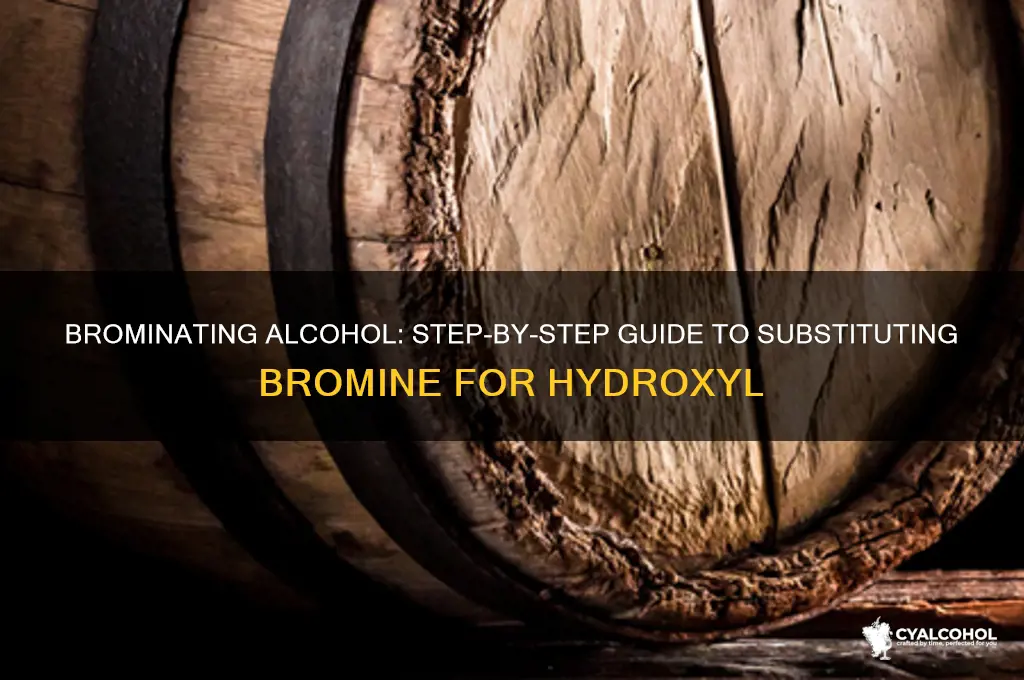 Brominating Alcohol: Step-By-Step Guide To Substituting Bromine For ...