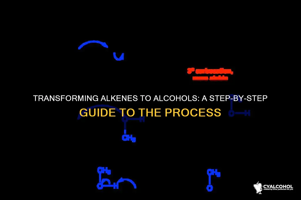Transforming Alkenes To Alcohols: A Step-By-Step Guide To The Process ...