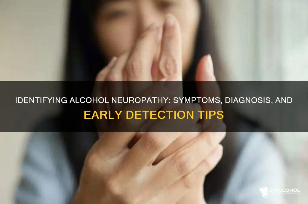 Identifying Alcohol Neuropathy: Symptoms, Diagnosis, And Early ...