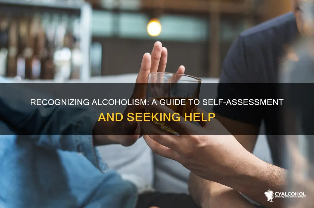 Recognizing Alcoholism: A Guide To Self-Assessment And Seeking Help ...