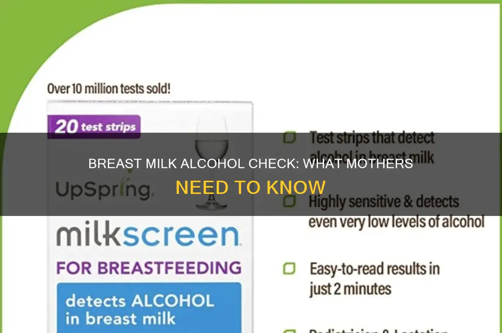 Breast Milk Alcohol Check: What Mothers Need To Know | CyAlcohol