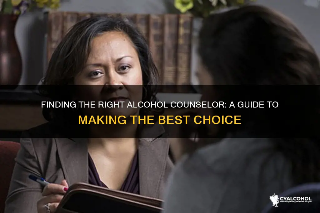 Finding The Right Alcohol Counselor: A Guide To Making The Best Choice ...