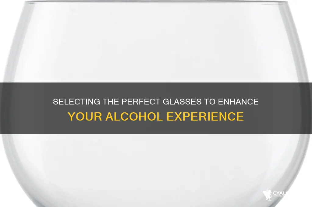 Selecting The Perfect Glasses To Enhance Your Alcohol Experience ...