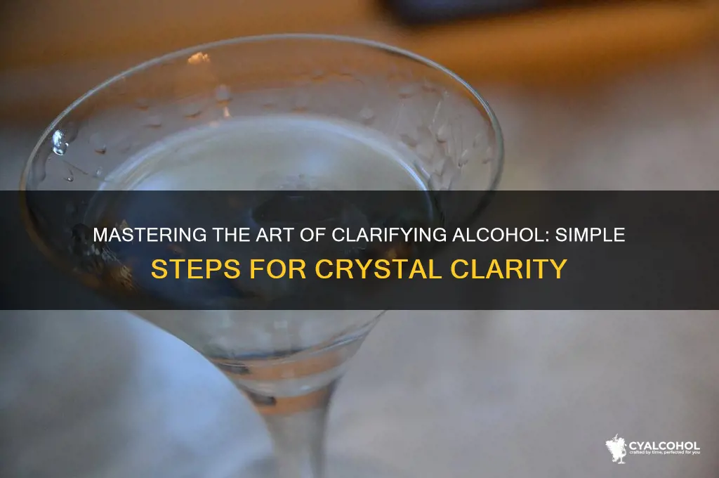 Mastering The Art Of Clarifying Alcohol: Simple Steps For Crystal ...