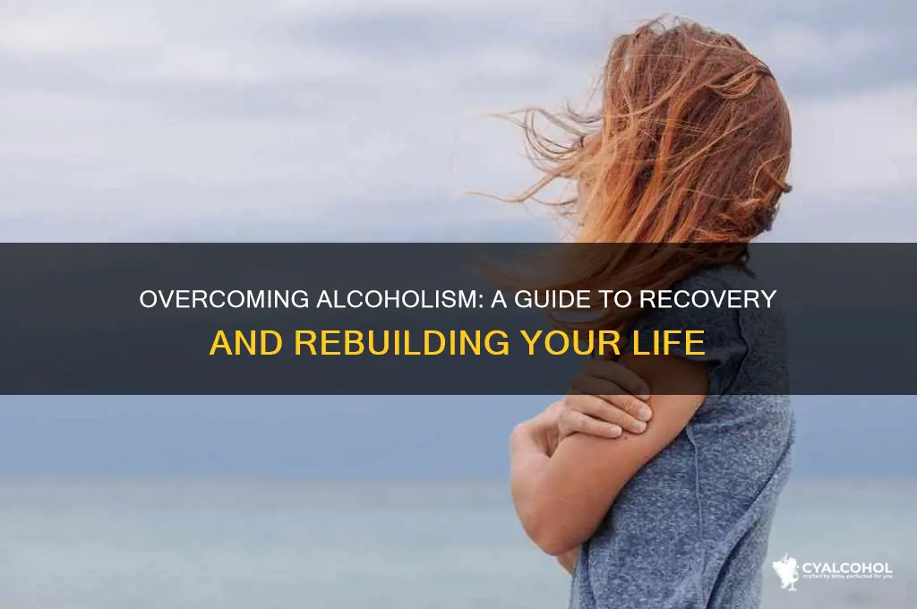 Overcoming Alcoholism: A Guide To Recovery And Rebuilding Your Life ...