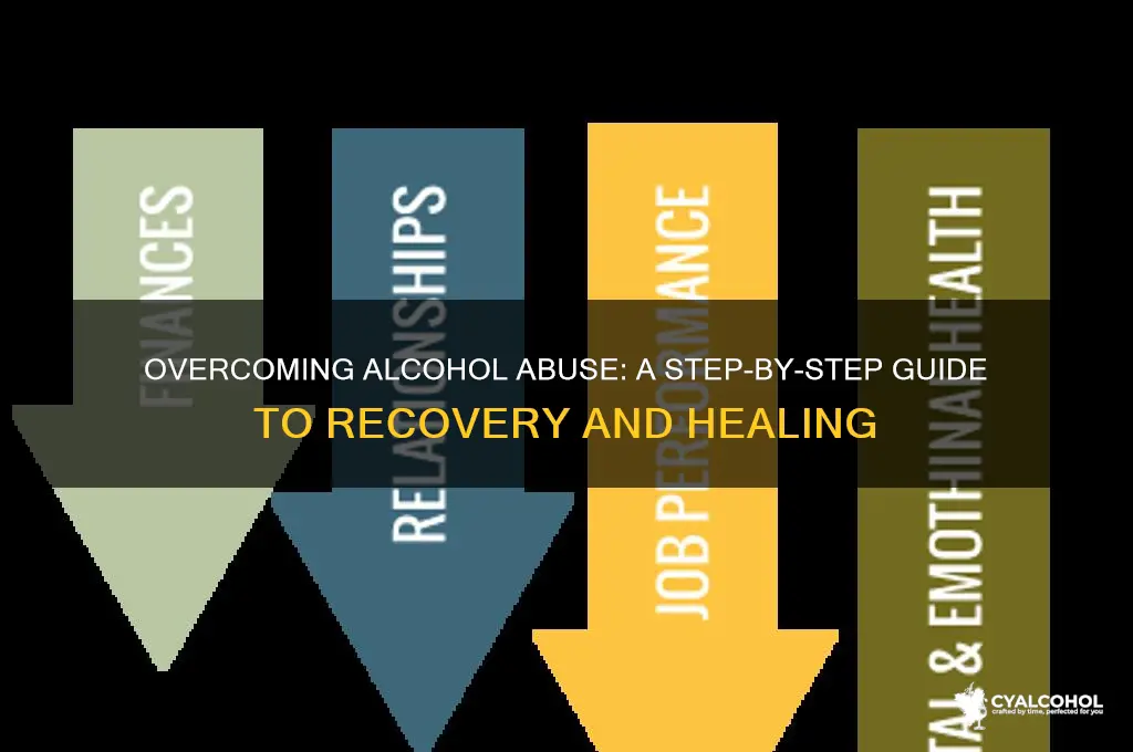 Overcoming Alcohol Abuse: A Step-By-Step Guide To Recovery And Healing ...