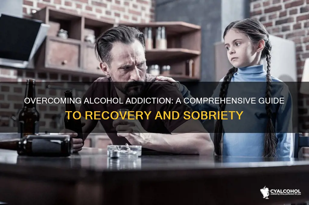 Overcoming Alcohol Addiction: A Comprehensive Guide To Recovery And ...
