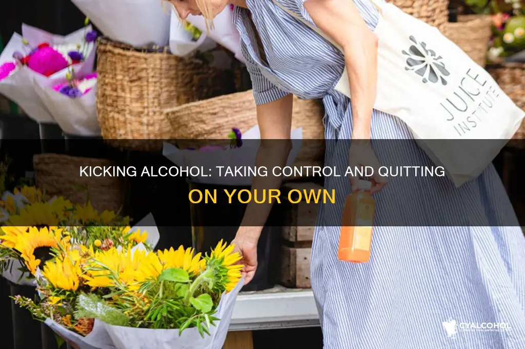 Kicking Alcohol: Taking Control And Quitting On Your Own | CyAlcohol