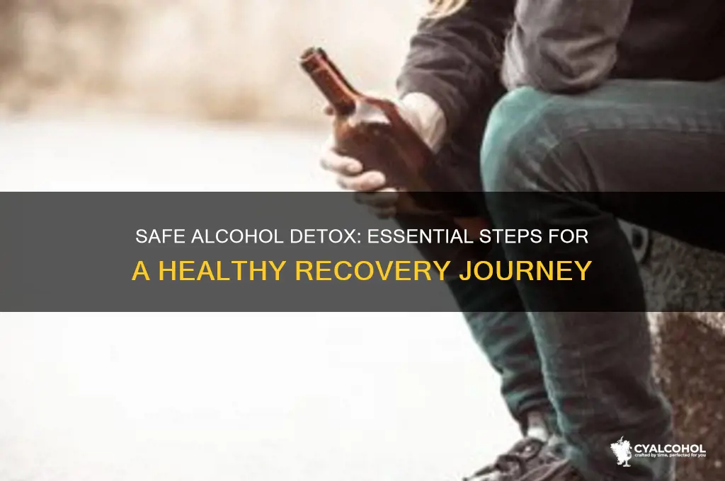 Safe Alcohol Detox: Essential Steps For A Healthy Recovery Journey ...