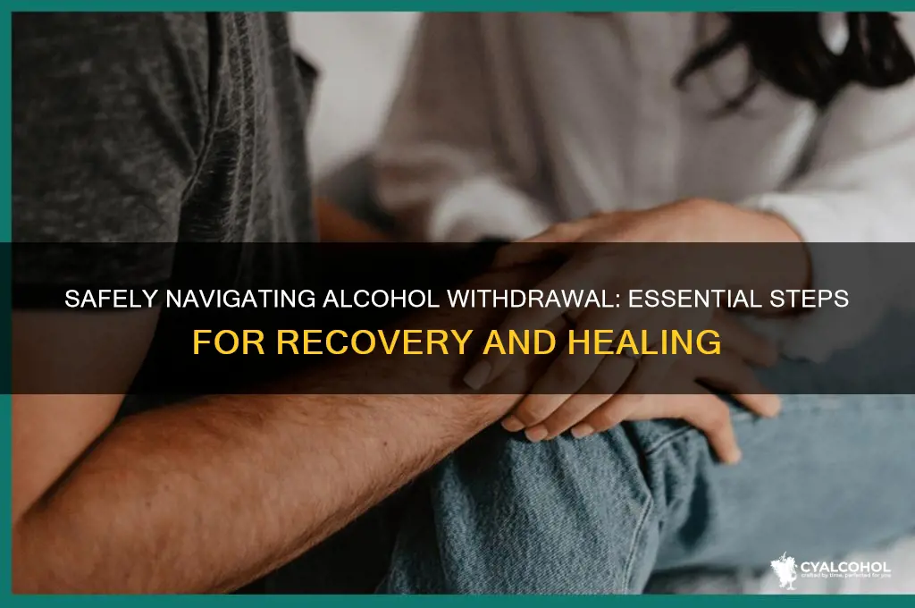 Safely Navigating Alcohol Withdrawal: Essential Steps For Recovery And ...