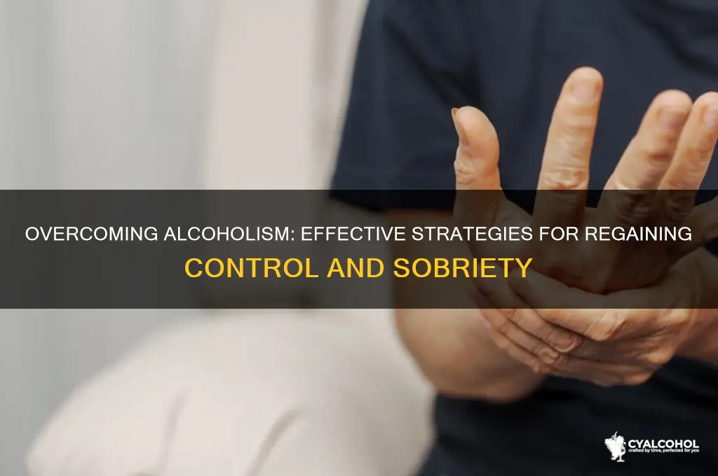 Overcoming Alcoholism: Effective Strategies For Regaining Control And ...