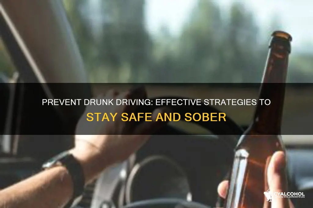 Prevent Drunk Driving: Effective Strategies To Stay Safe And Sober ...