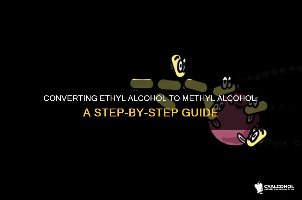 Converting Ethyl Alcohol To Methyl Alcohol: A Step-By-Step Guide ...