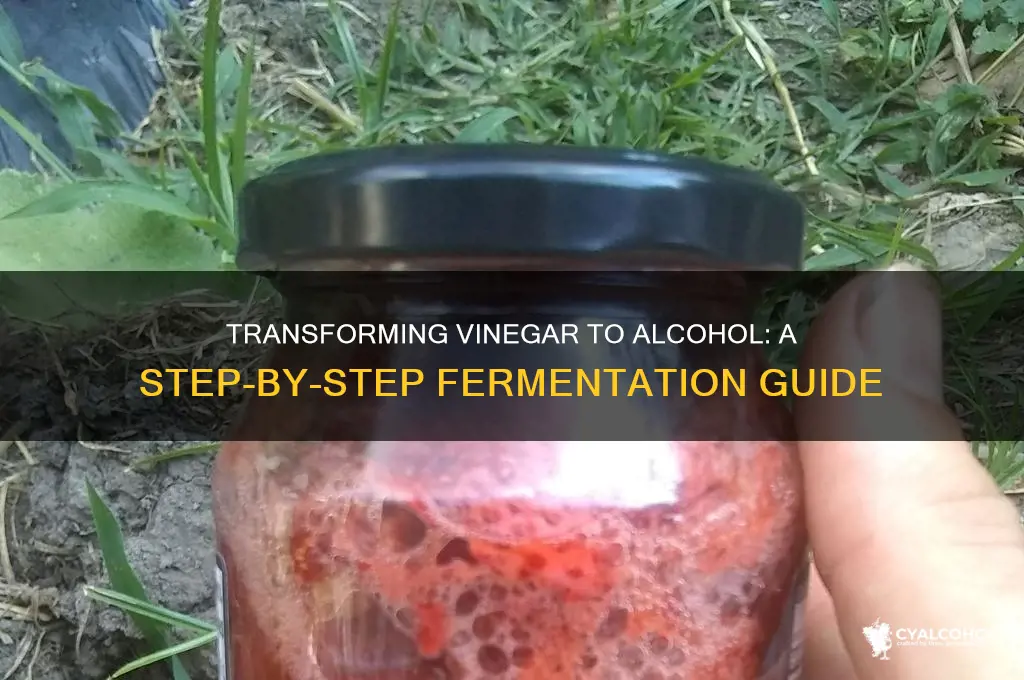 Transforming Vinegar To Alcohol: A Step-By-Step Fermentation Guide ...