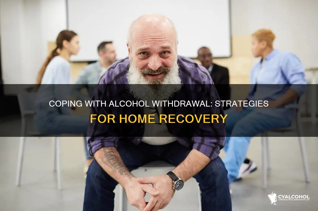 Coping With Alcohol Withdrawal: Strategies For Home Recovery | CyAlcohol