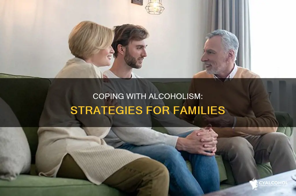 Coping With Alcoholism: Strategies For Families | CyAlcohol