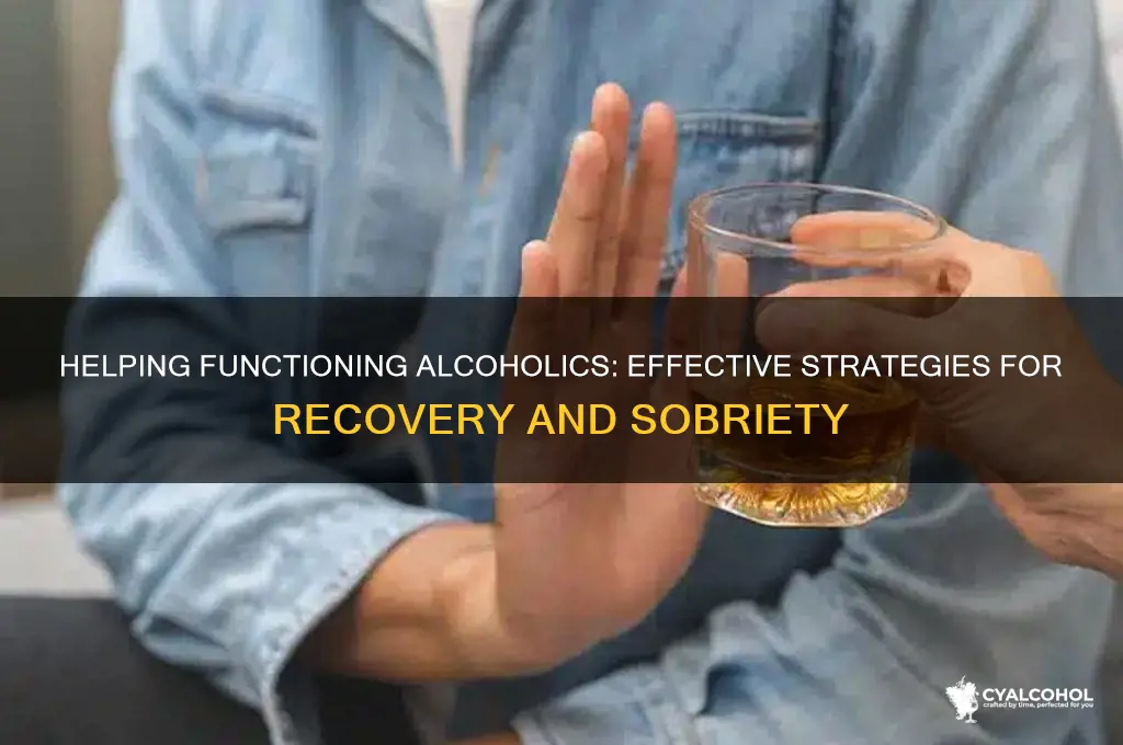 Helping Functioning Alcoholics: Effective Strategies For Recovery And ...