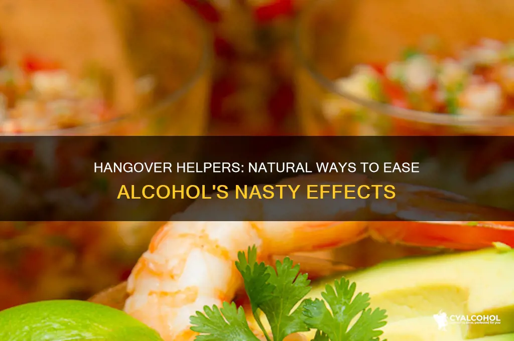 Hangover Helpers: Natural Ways To Ease Alcohol's Nasty Effects | CyAlcohol