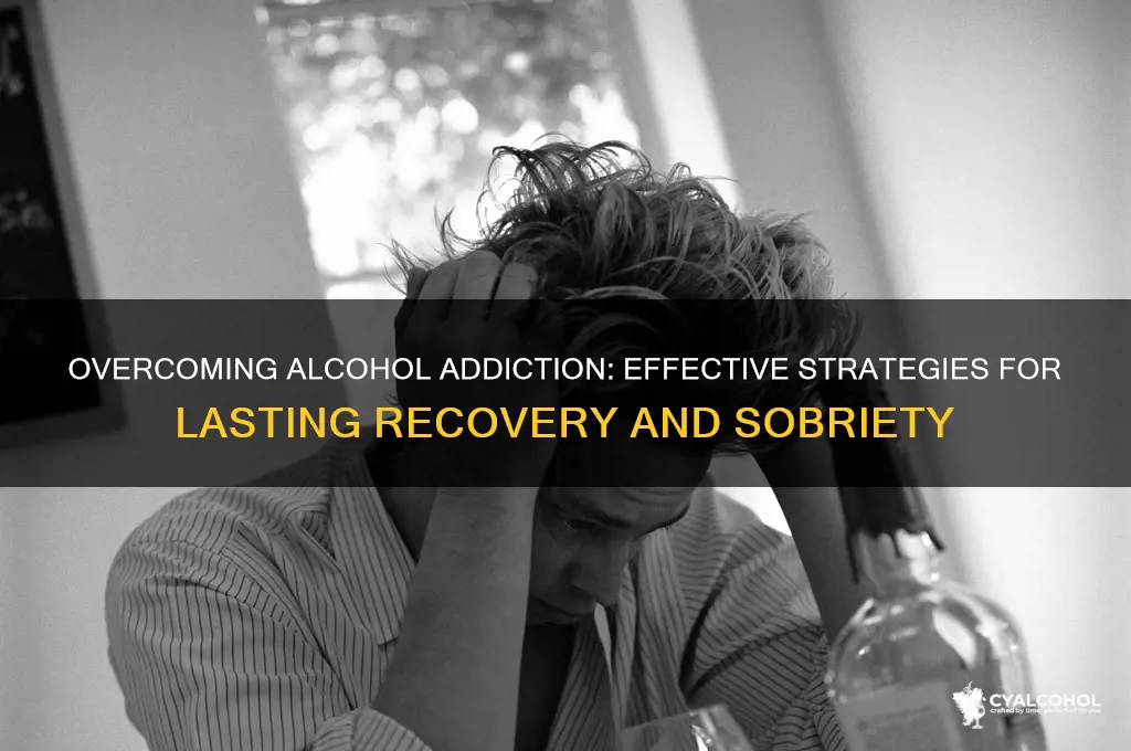 Overcoming Alcohol Addiction: Effective Strategies For Lasting Recovery ...