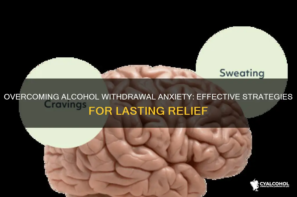 Overcoming Alcohol Withdrawal Anxiety: Effective Strategies For Lasting ...