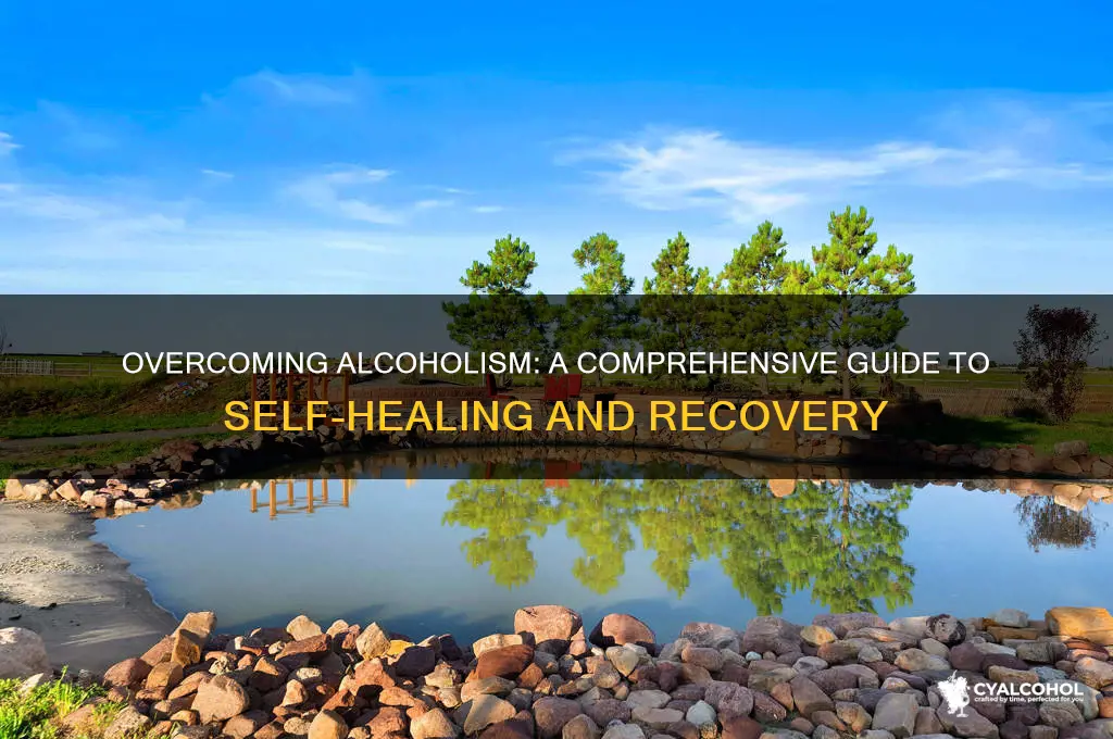 Overcoming Alcoholism: A Comprehensive Guide To Self-Healing And ...