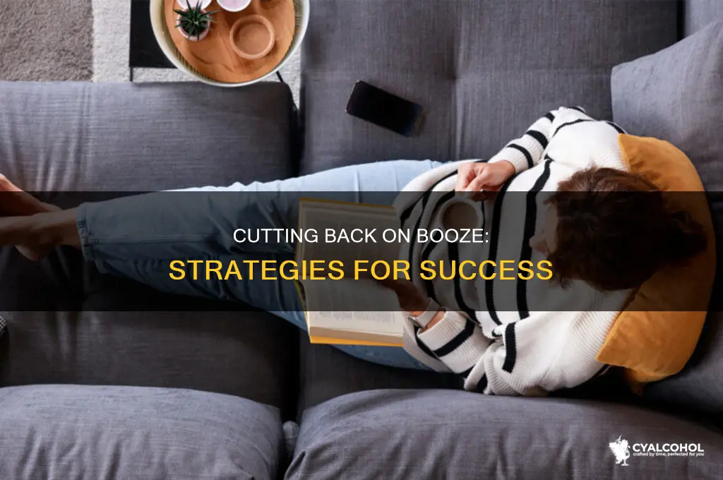 Cutting Back On Booze: Strategies For Success | CyAlcohol