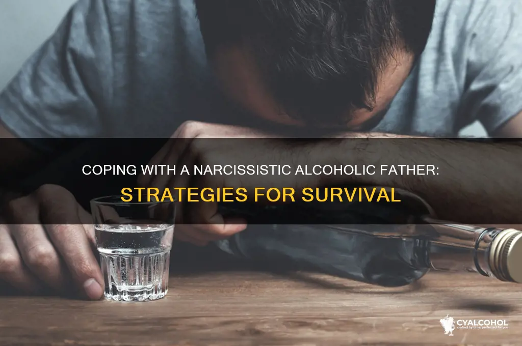 Coping With A Narcissistic Alcoholic Father: Strategies For Survival ...
