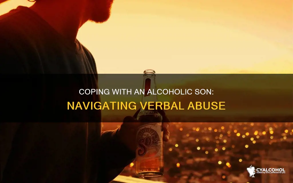 Coping With An Alcoholic Son: Navigating Verbal Abuse | CyAlcohol