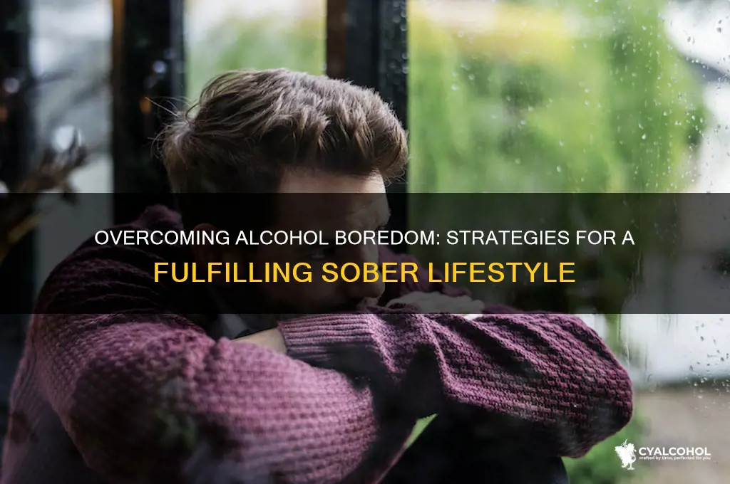 Overcoming Alcohol Boredom: Strategies For A Fulfilling Sober Lifestyle ...