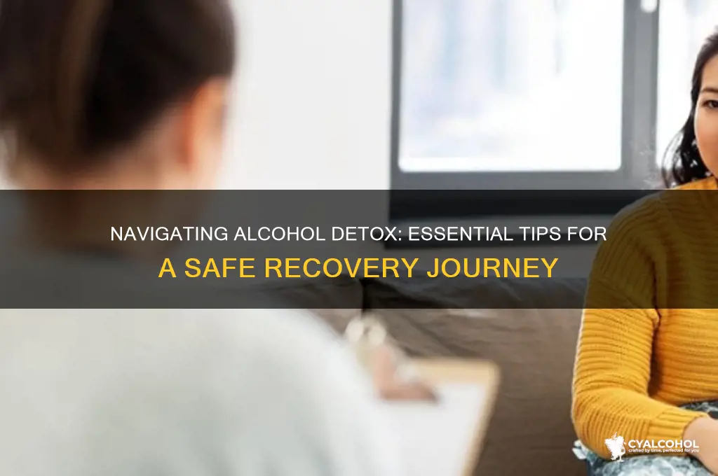 Navigating Alcohol Detox: Essential Tips For A Safe Recovery Journey ...