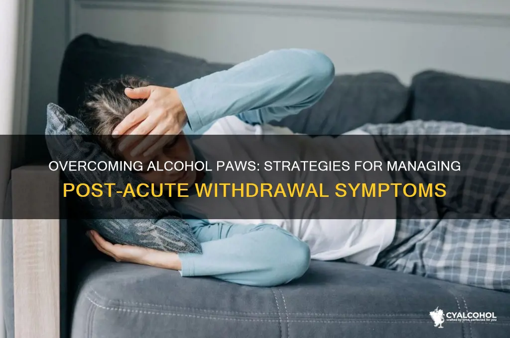 Overcoming Alcohol Paws: Strategies For Managing Post-Acute Withdrawal ...