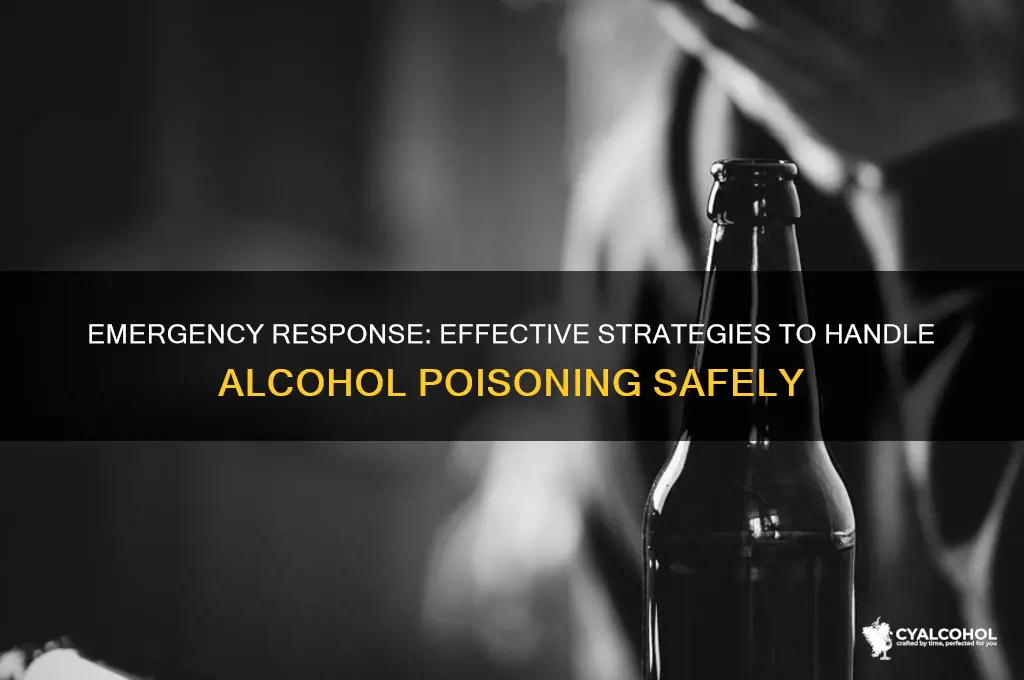 Emergency Response: Effective Strategies To Handle Alcohol Poisoning ...
