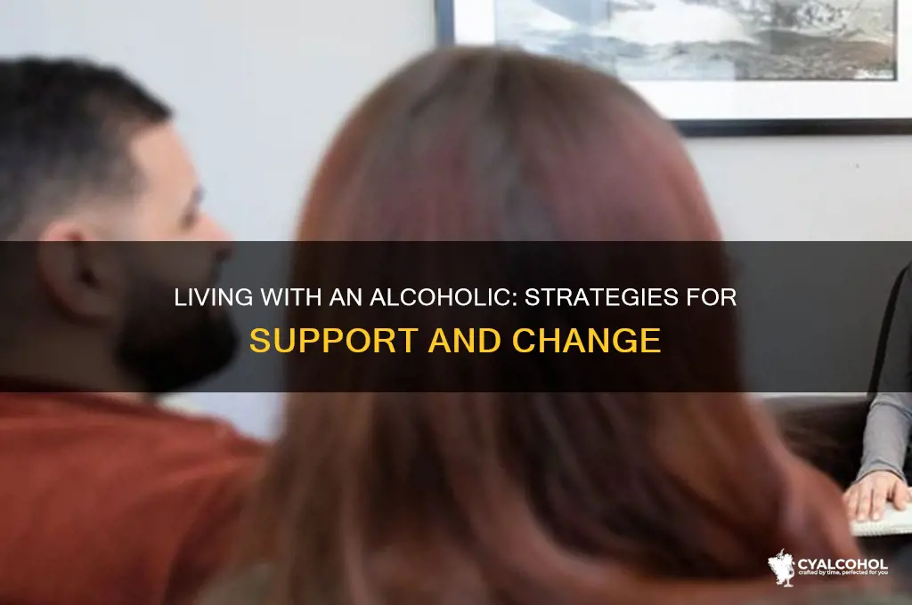 Living With An Alcoholic: Strategies For Support And Change | CyAlcohol
