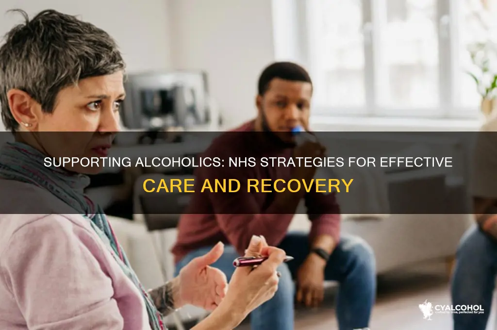 Supporting Alcoholics: Nhs Strategies For Effective Care And Recovery ...