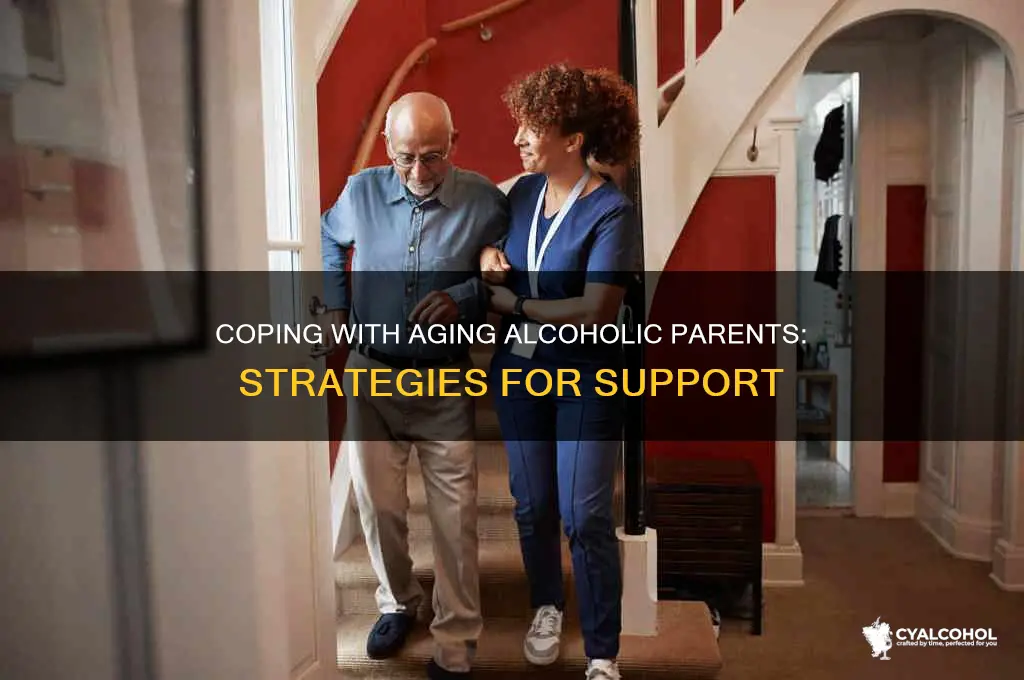 Coping With Aging Alcoholic Parents: Strategies For Support | CyAlcohol