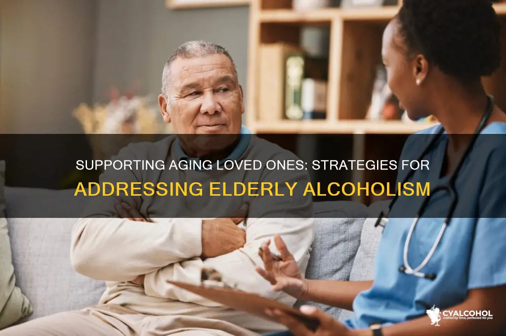 Supporting Aging Loved Ones: Strategies For Addressing Elderly ...