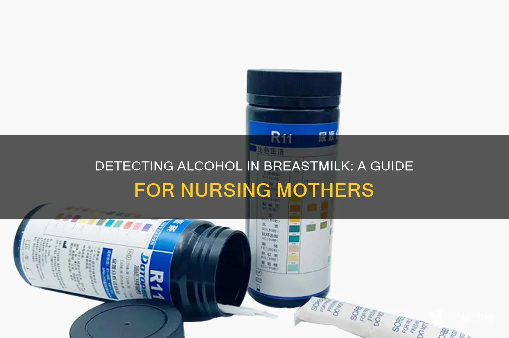 Detecting Alcohol In Breastmilk: A Guide For Nursing Mothers | CyAlcohol