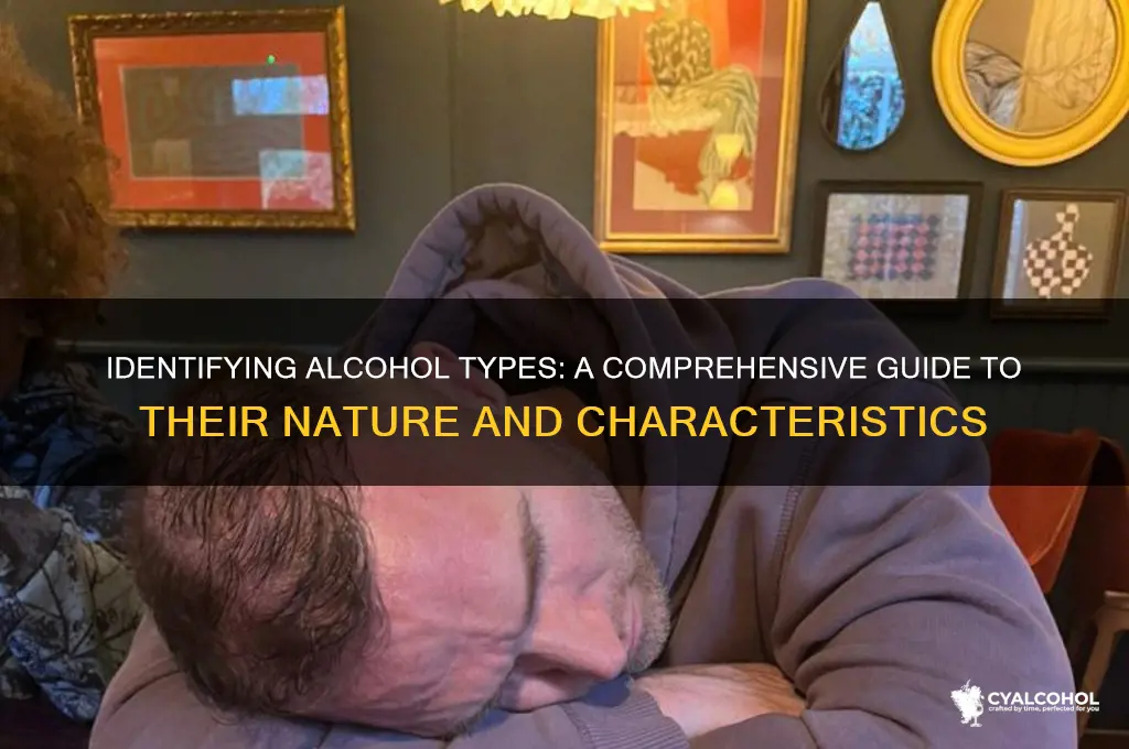 Identifying Alcohol Types: A Comprehensive Guide To Their Nature And ...