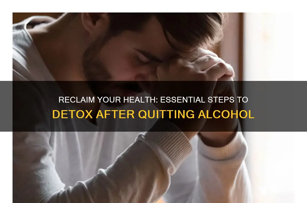 Reclaim Your Health: Essential Steps To Detox After Quitting Alcohol ...