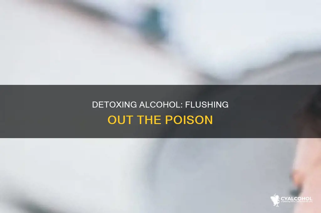 Detoxing Alcohol: Flushing Out The Poison | CyAlcohol