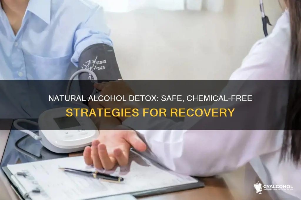Natural Alcohol Detox: Safe, Chemical-Free Strategies For Recovery ...