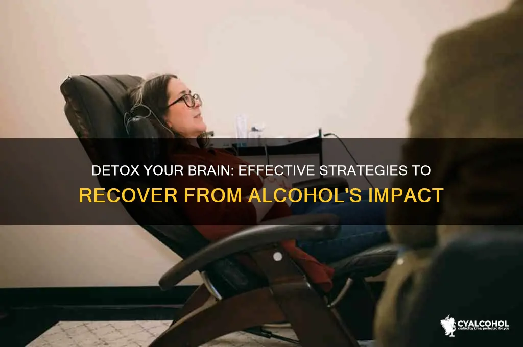 Detox Your Brain: Effective Strategies To Recover From Alcohol's Impact ...