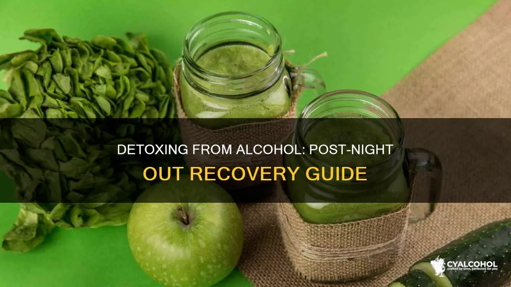 Detoxing From Alcohol: Post-Night Out Recovery Guide | CyAlcohol