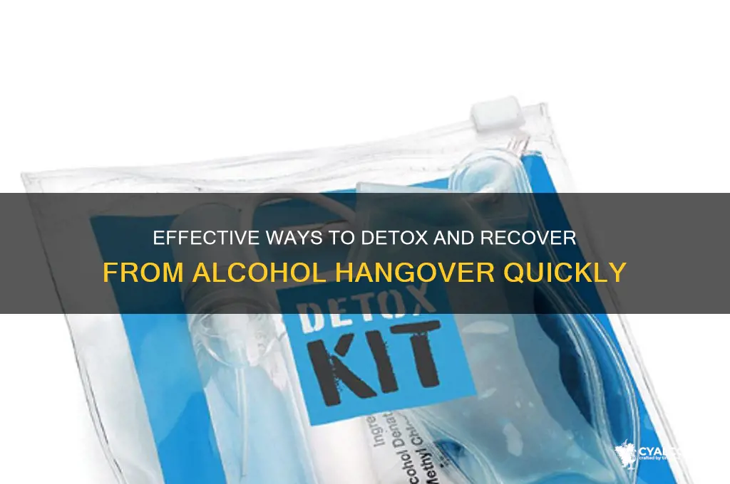 Effective Ways To Detox And Recover From Alcohol Hangover Quickly ...