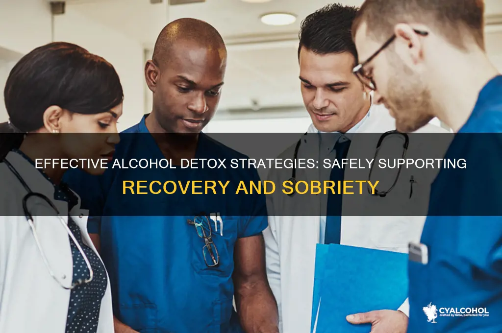 Effective Alcohol Detox Strategies: Safely Supporting Recovery And ...