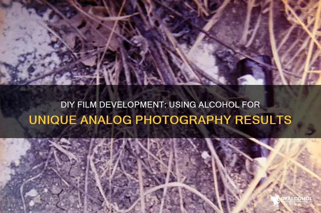 Diy Film Development: Using Alcohol For Unique Analog Photography ...