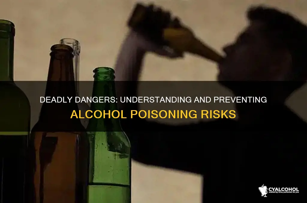 Deadly Dangers: Understanding And Preventing Alcohol Poisoning Risks ...