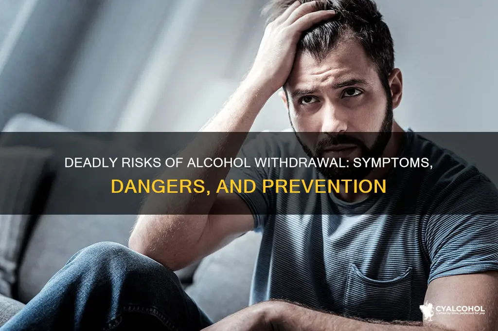 Deadly Risks Of Alcohol Withdrawal: Symptoms, Dangers, And Prevention ...