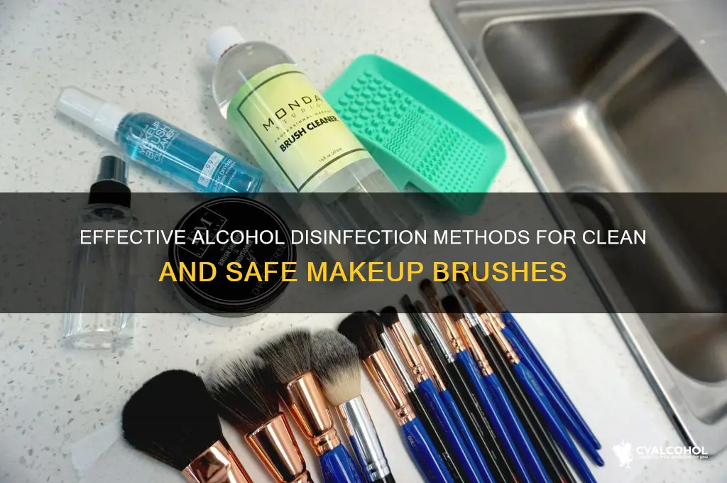 Effective Alcohol Disinfection Methods For Clean And Safe Makeup ...