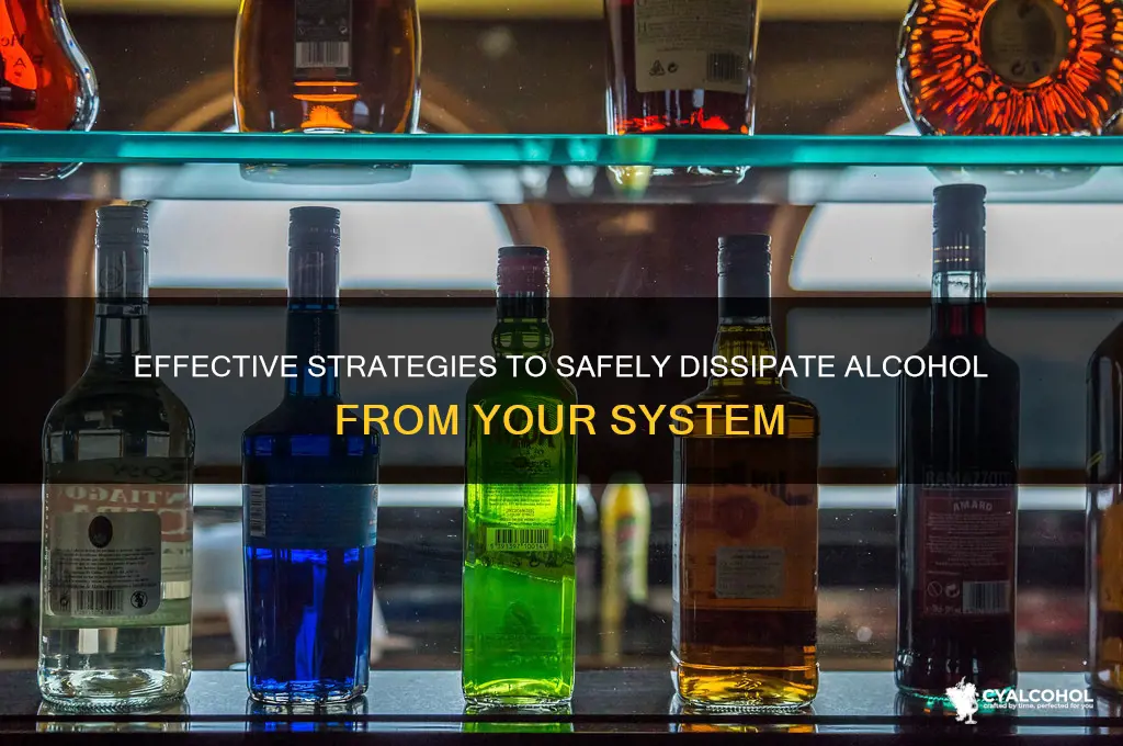 Effective Strategies To Safely Dissipate Alcohol From Your System ...